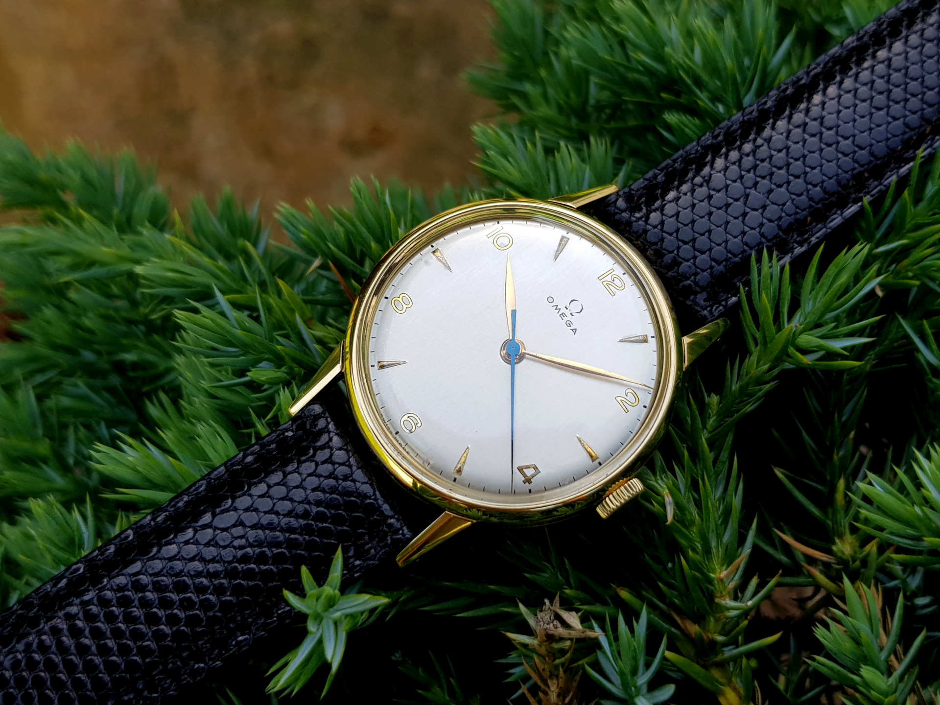 en-Omega 283 :: Vintagewatch